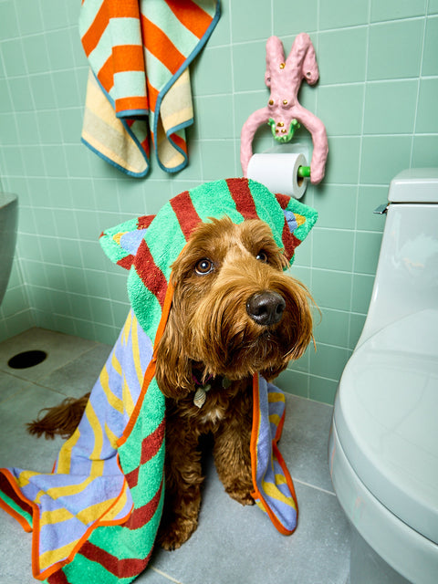 Chopping Block – Coming Soon